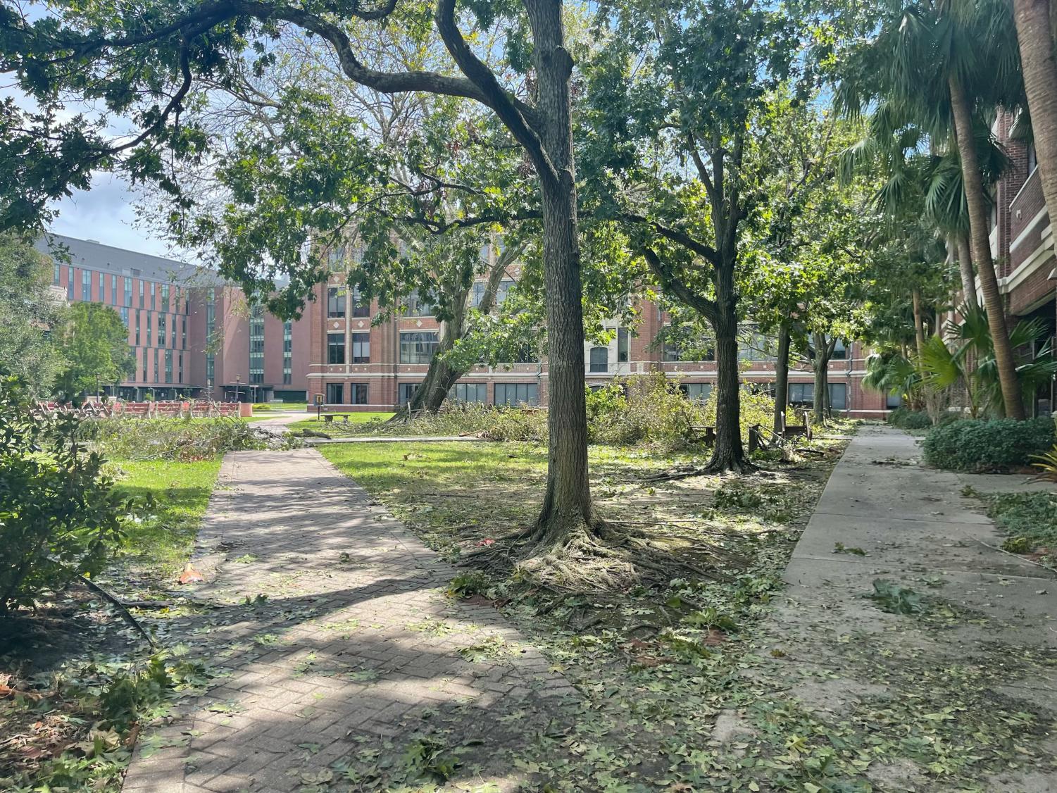 Classes canceled for next week, online learning begins Sept. 13
